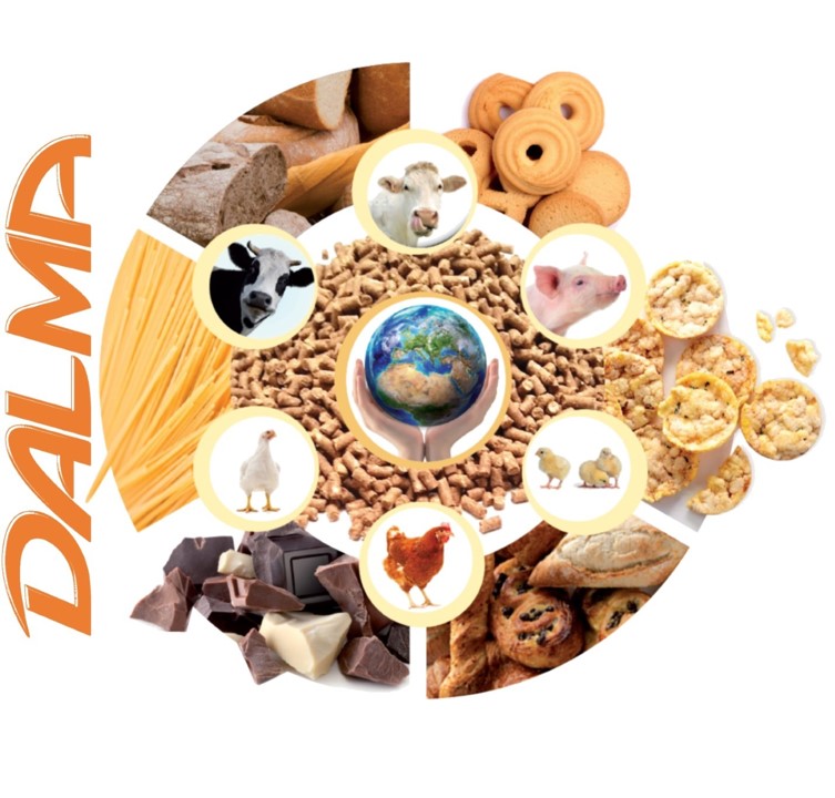 Ethica Group M&A Advisory team advised Dalma Group, Italian leader in ...